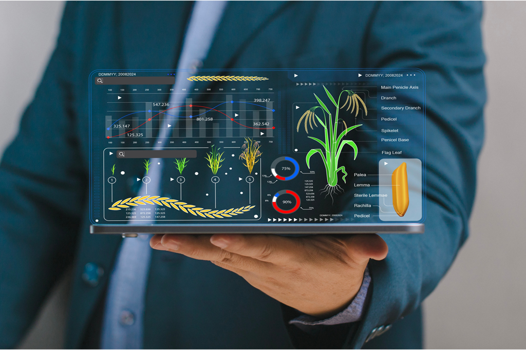 Farming Case Study - Optimizing Agricultural Operations with Shelly